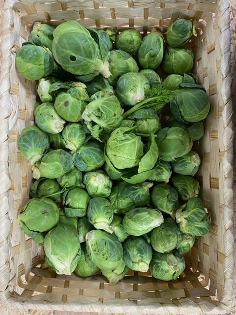 Choux de Bruxelle - Limagne Légumes