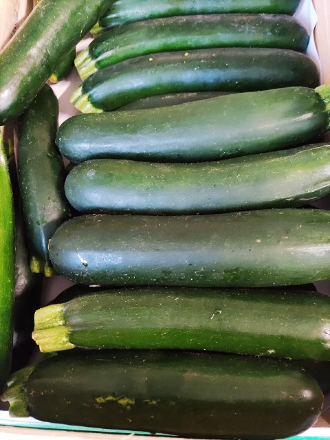 Courgette - Limagne Légumes